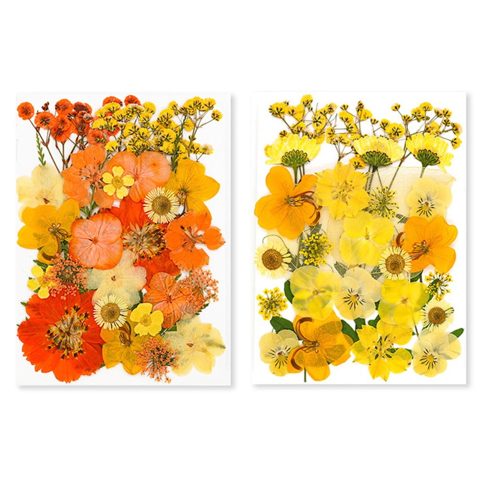 2 Sets Dried Flower Handmade Pressed Flower Real Flower DIY Material ...