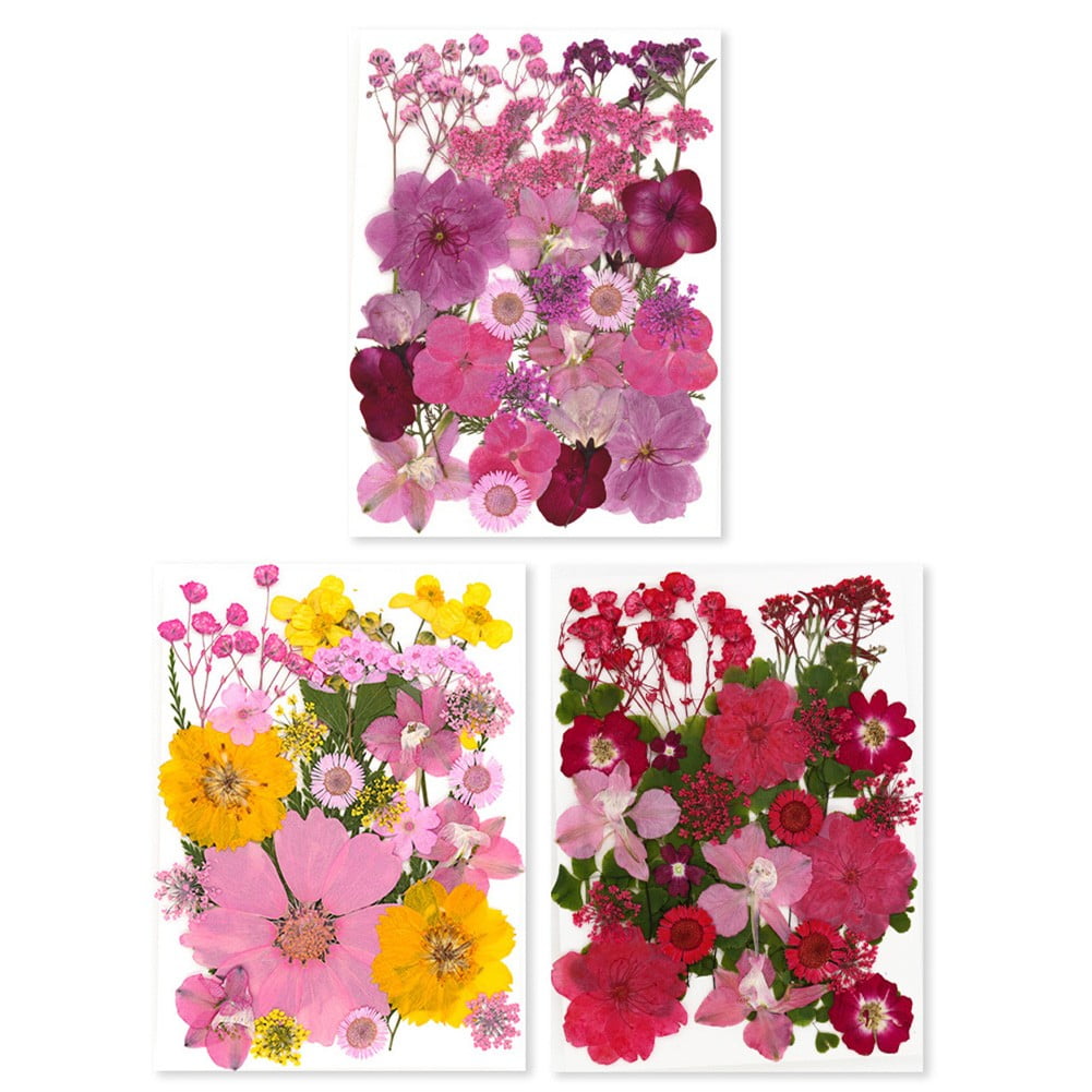 2 Sets Dried Flower Handmade Pressed Flower Real Flower DIY Material ...