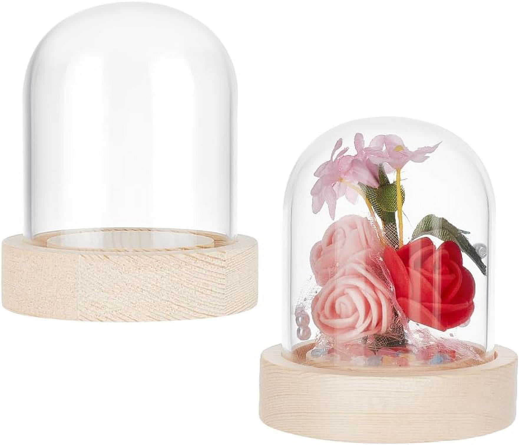 2 Sets Glass Display Dome 2.42" in Diameter Round Glass Display Dome ...