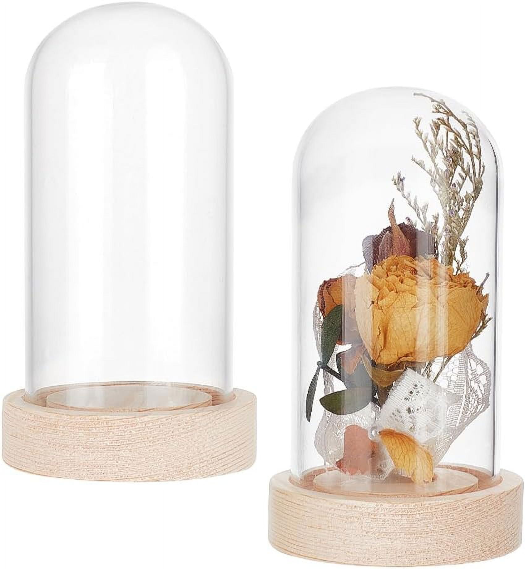 2 Sets Glass Display Dome 2.44" in Diameter Round Glass Display Dome ...