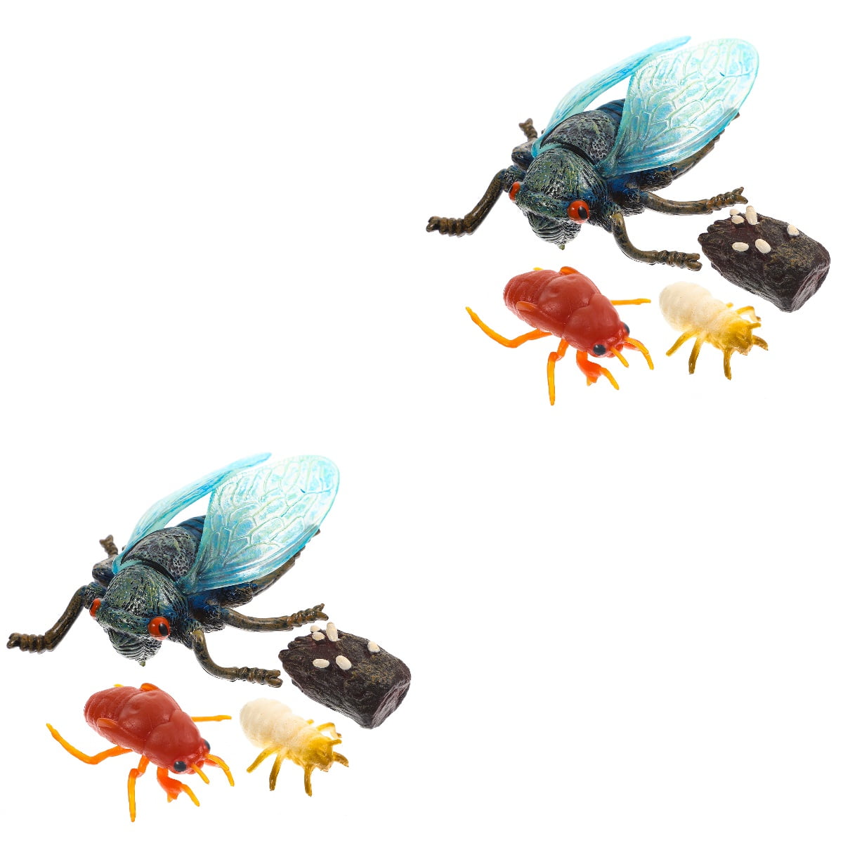 2 Sets Growth Cycle Model Realistic Design Cicada Life Child - Walmart.com