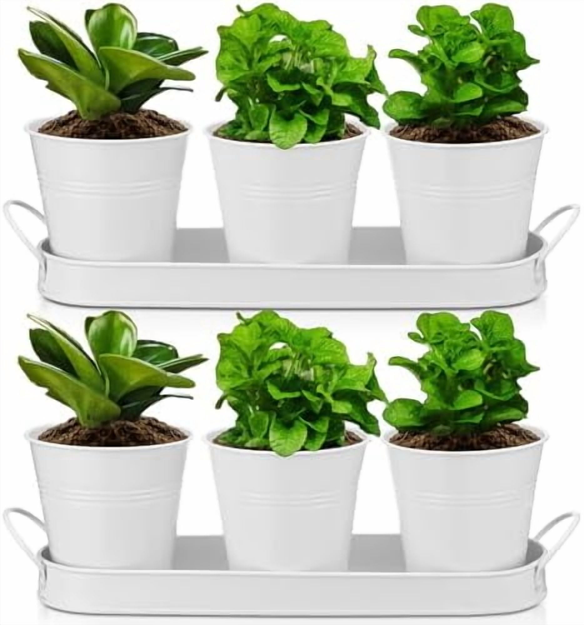 2 Sets Herb Planter with Tray Metal Herb Garden Planter with Drainage ...