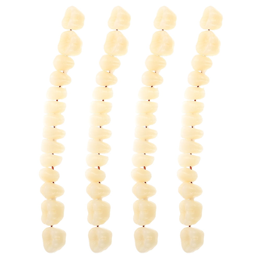 2 Sets Resin Denture Model Studying Denture Model Faux Teeth Model Fake ...