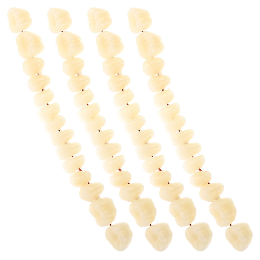 2 Sets Resin Denture Model Studying Denture Model Faux Teeth Model Fake ...