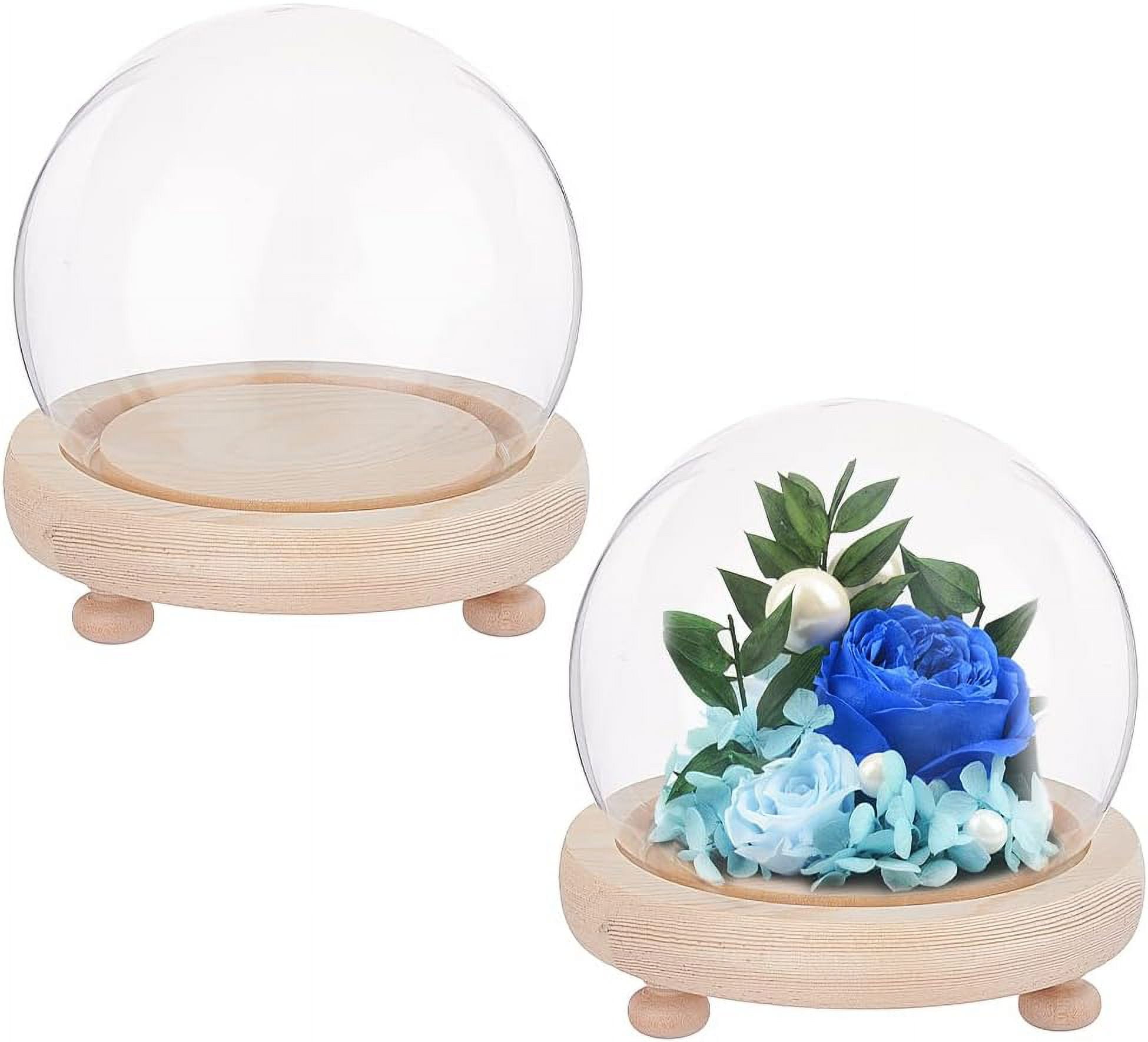 2 Sets Round Glass Display Dome Mini Glass Cloche Dome Clear Glass ...