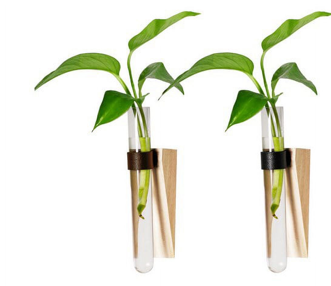 2 Sets Wall Hanging Plant Containers Propagating Hydroponic Vase Test ...