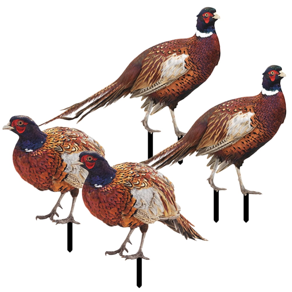 2 Sets of Pheasant Garden Stake Decoration Ground Insert Realistic ...