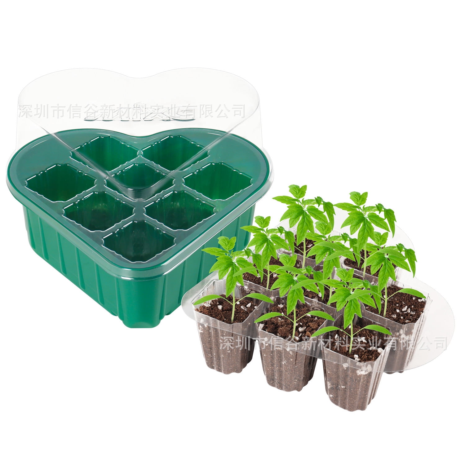 2 Sets of Starter Tray Nursery Planter Starter Trays Sprouting Boxes ...