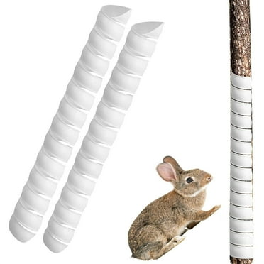 Squirrel Proof Plant Cage Chicken Wire Cloche for Plants Metal Guard ...