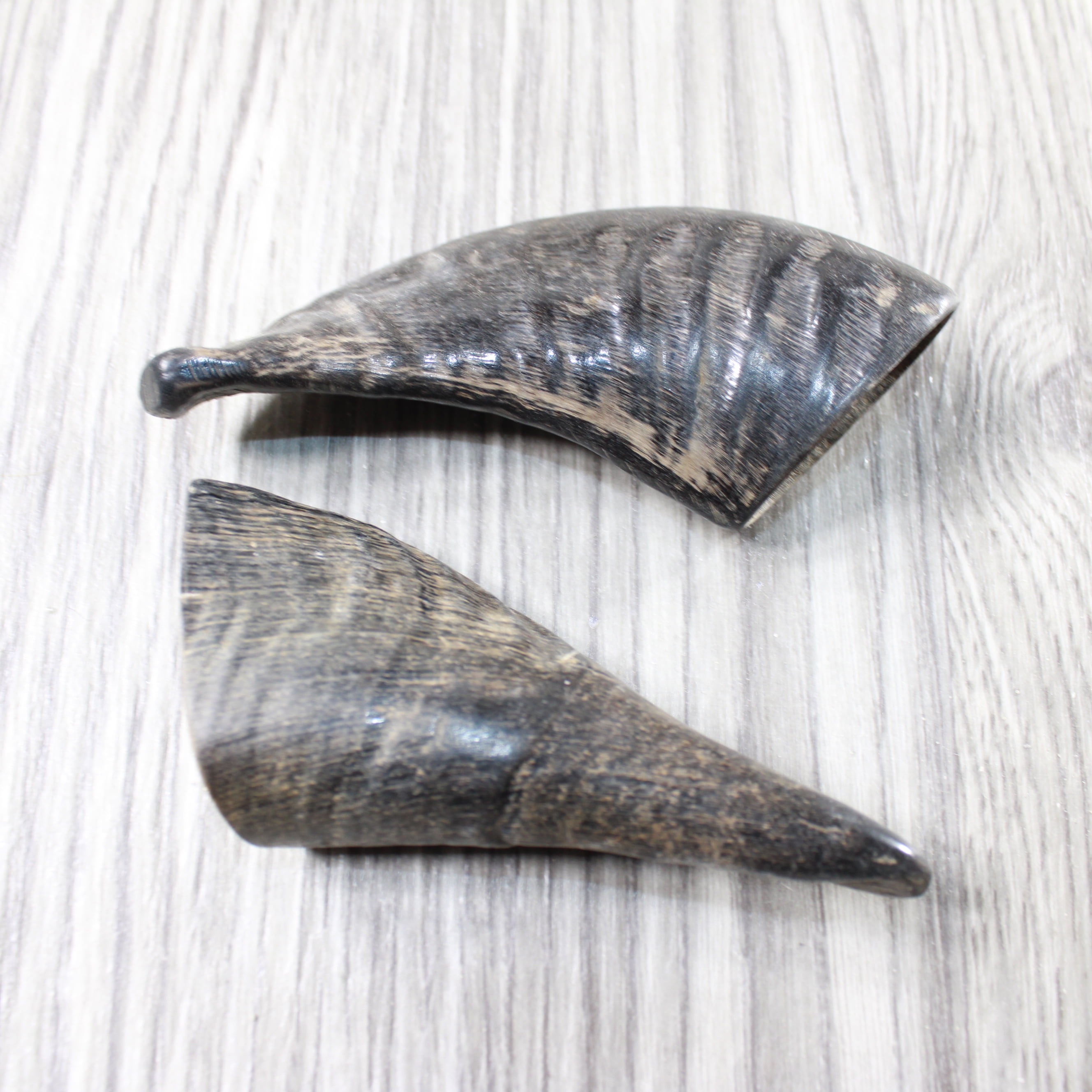 2 Small Polished Goat Horns #4651 Natural Colored - Walmart.com