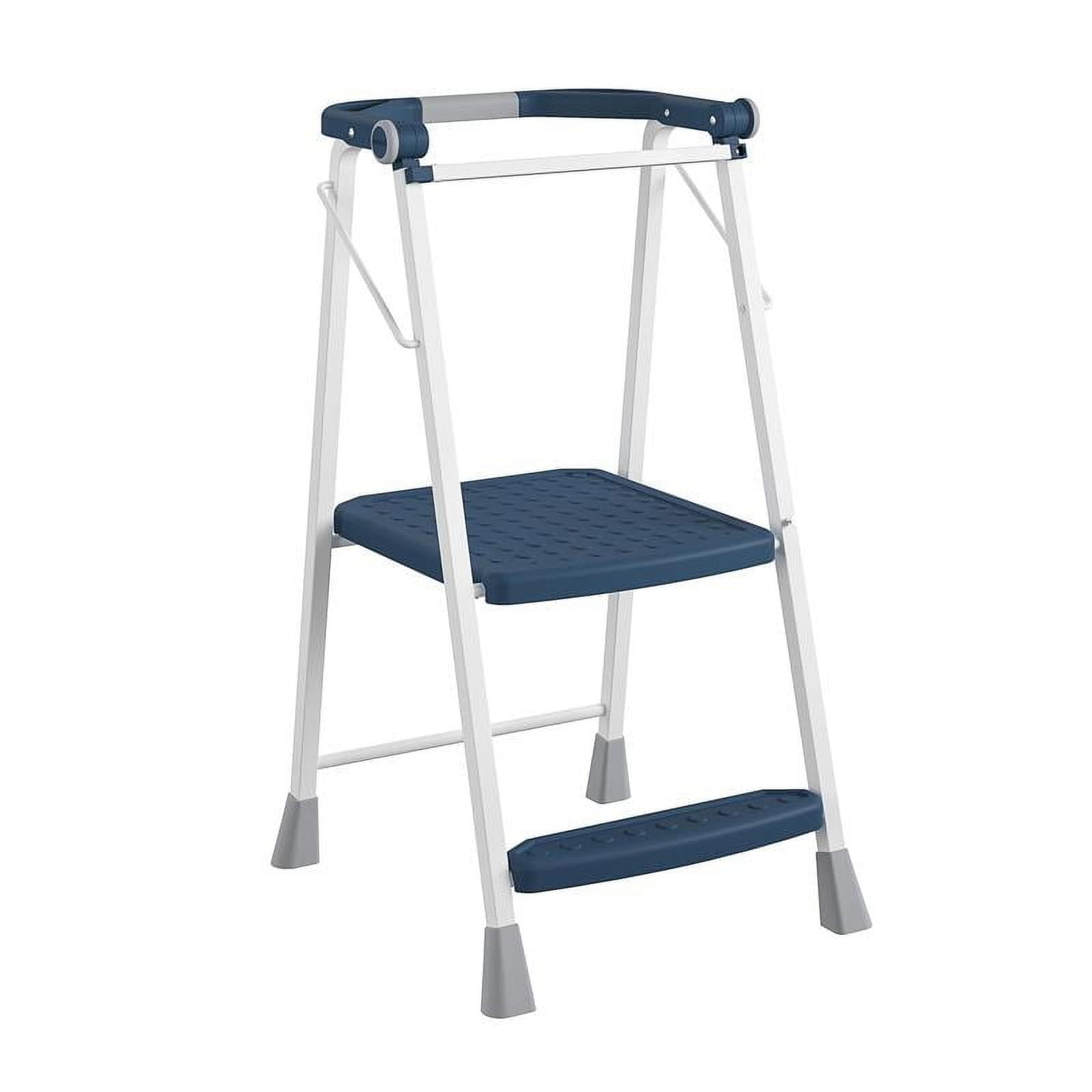 2-Step Kitchen Steel and Resin Step Stool - Walmart.com