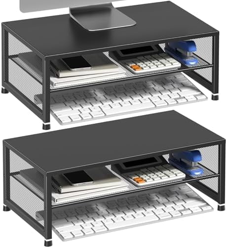 2-Tier Computer Monitor Stand Riser, Desk Organizer for Monitor ...