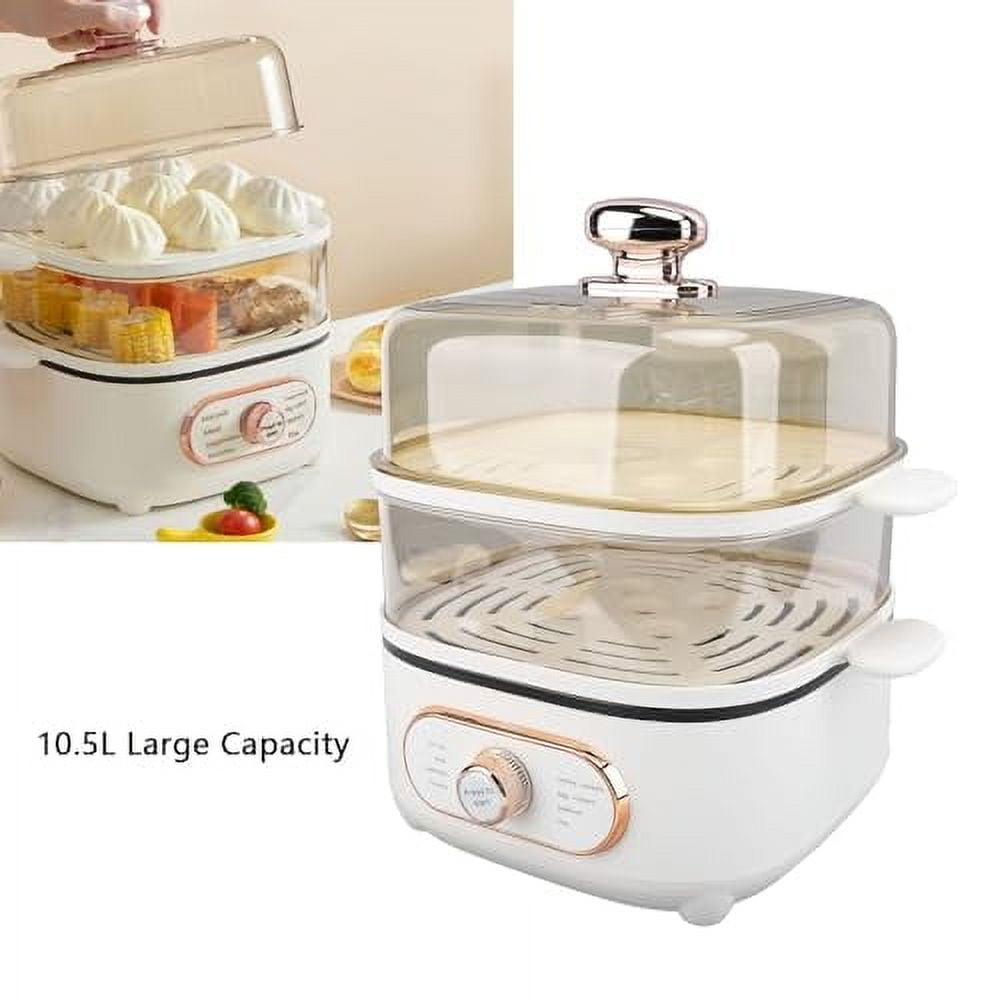 2 Tier Electric Food Steamer, 1200W 10.5L Electric Hot Pot with Steamer ...
