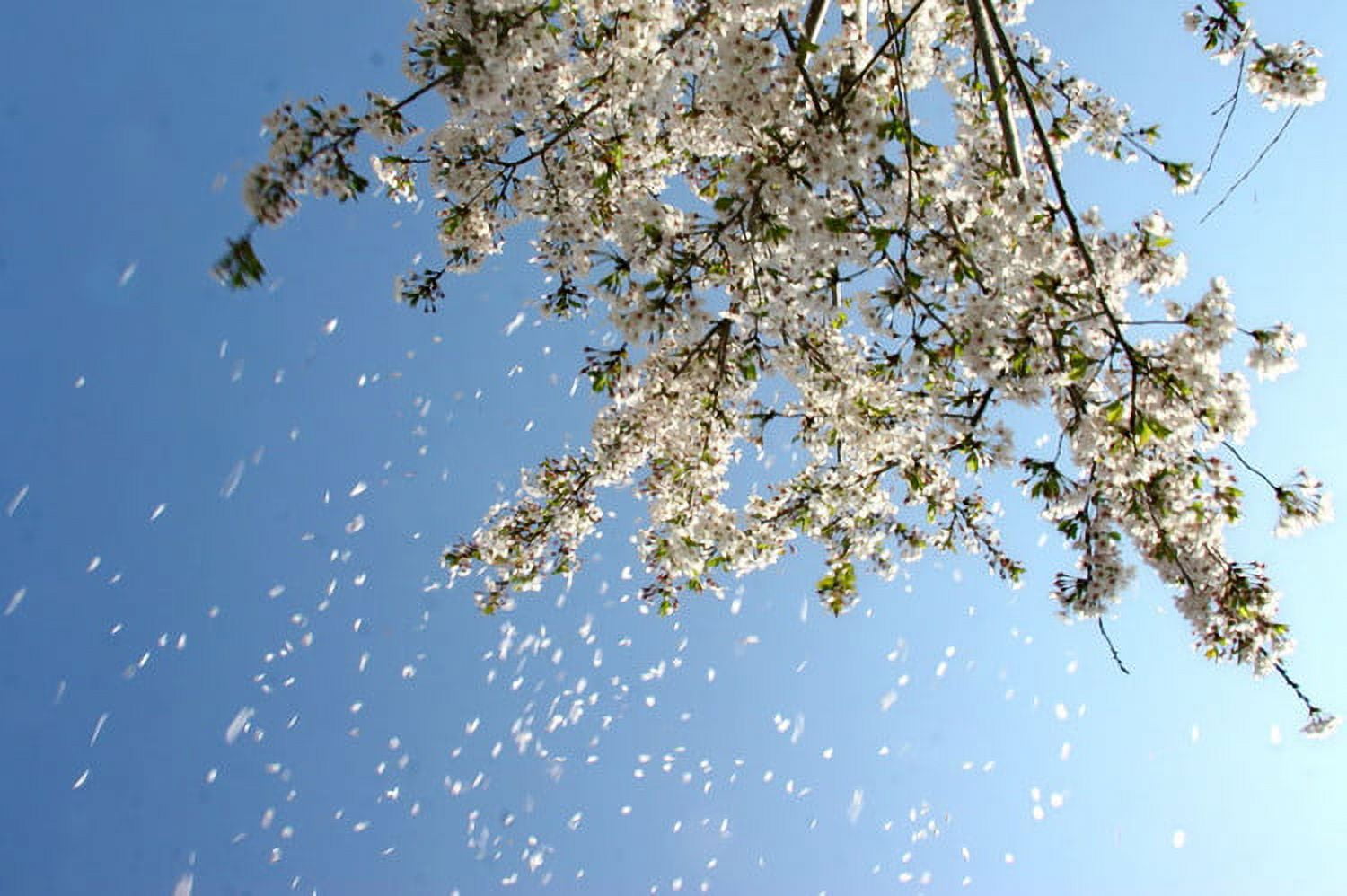 Retire - Walmart.com