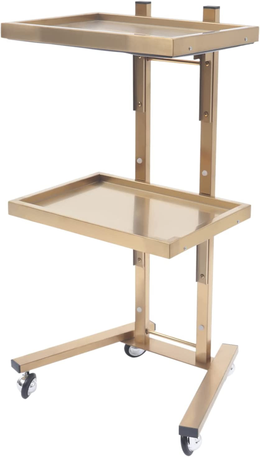 2-Tier Metal Rolling Cart, Stainless Steel Rolling Tool Trolley Cart ...