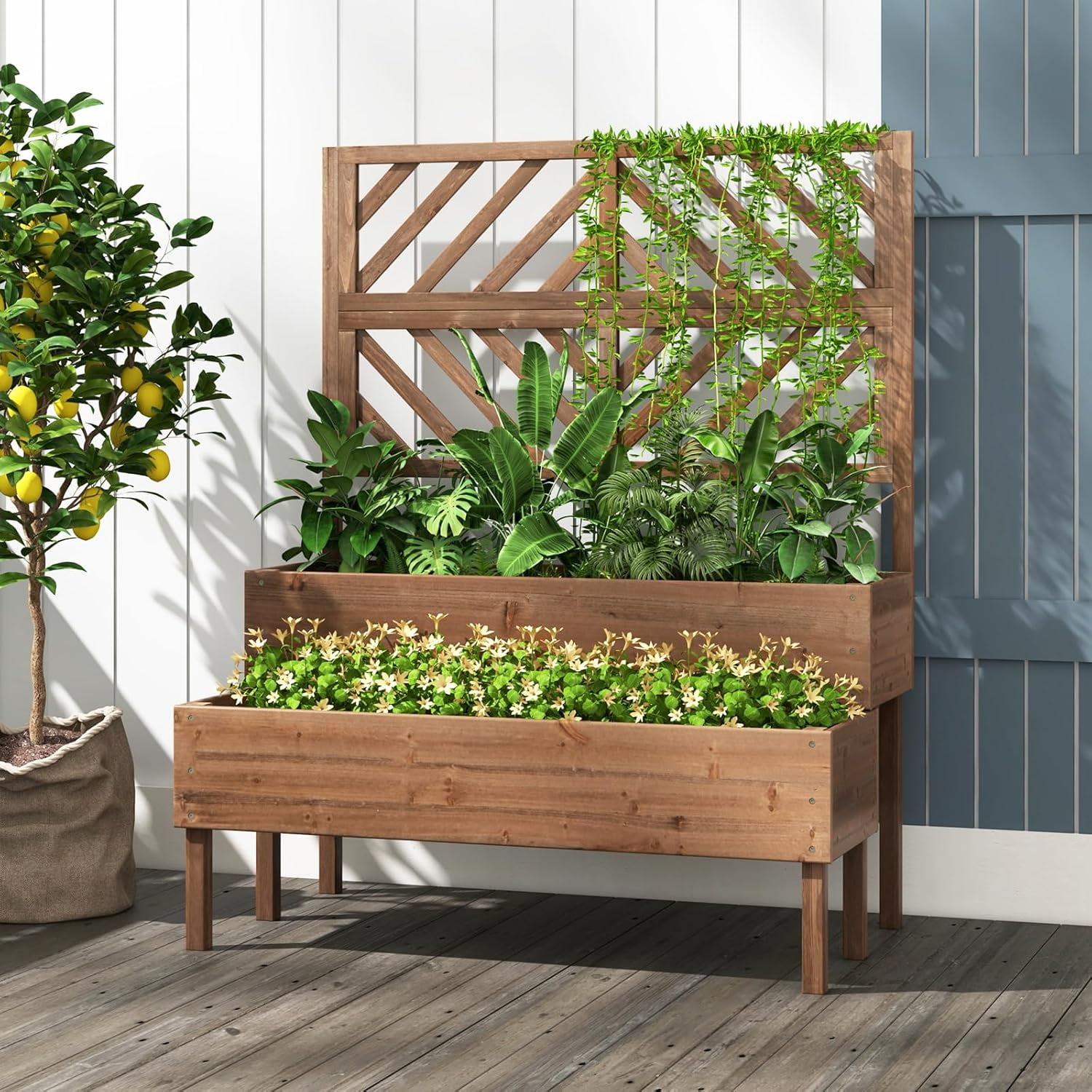 2-Tier Raised Garden Bed with Trellis, Planter Box with Lattice Trellis ...