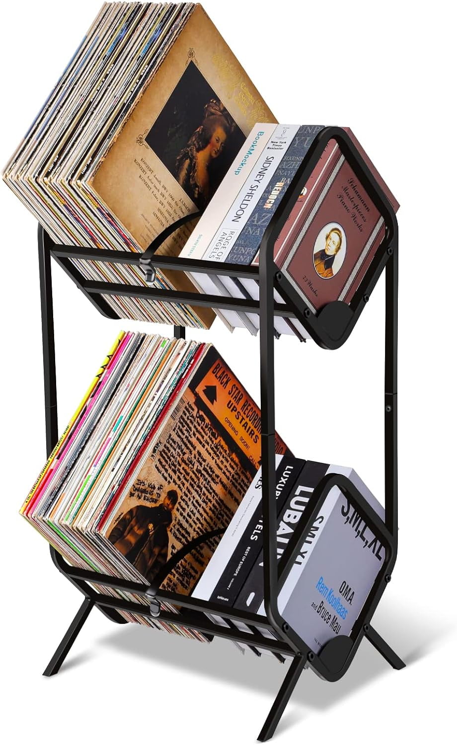 R RUIMEI 2-Tier Vinyl Record Storage Rack, Black Metal Shelf with ...