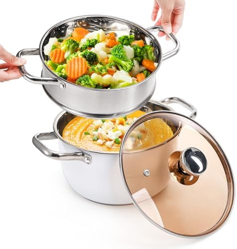 2 Tier Steamer Pot with Lid, 4 Quart Stainless Steel Food Steamer for ...