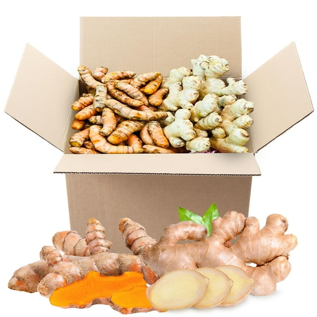 2 US Grown (Not from FIJI!) Organic Turmeric Ginger Root Blend Box (1 ...