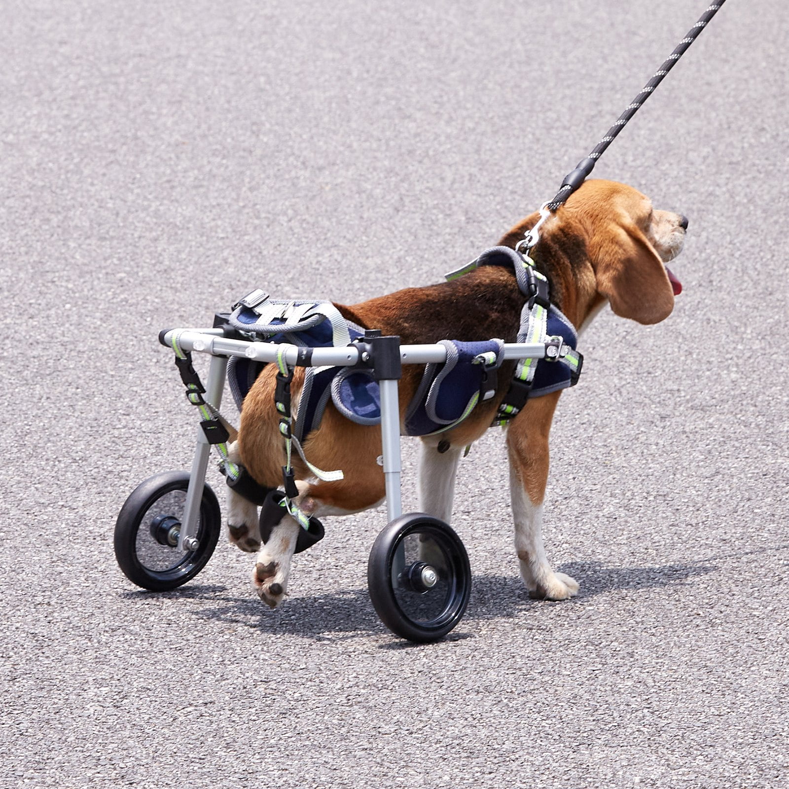2 Wheels Dog Wheelchair for Back Legs, Pet Wheelchair Lightweight ...