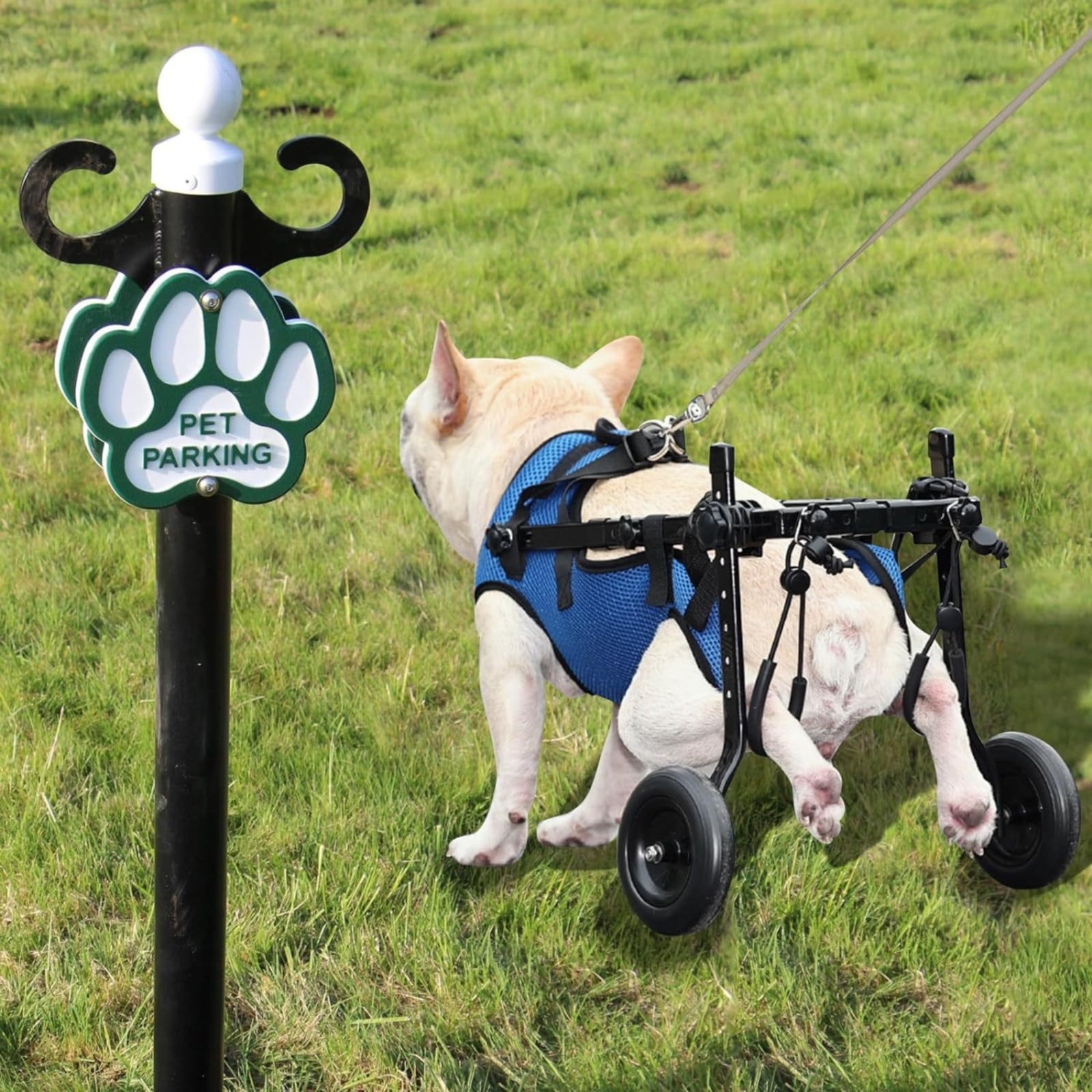2 Wheels Dog Wheelchair for Legs Support Pet Mobility Aid Adjustable ...