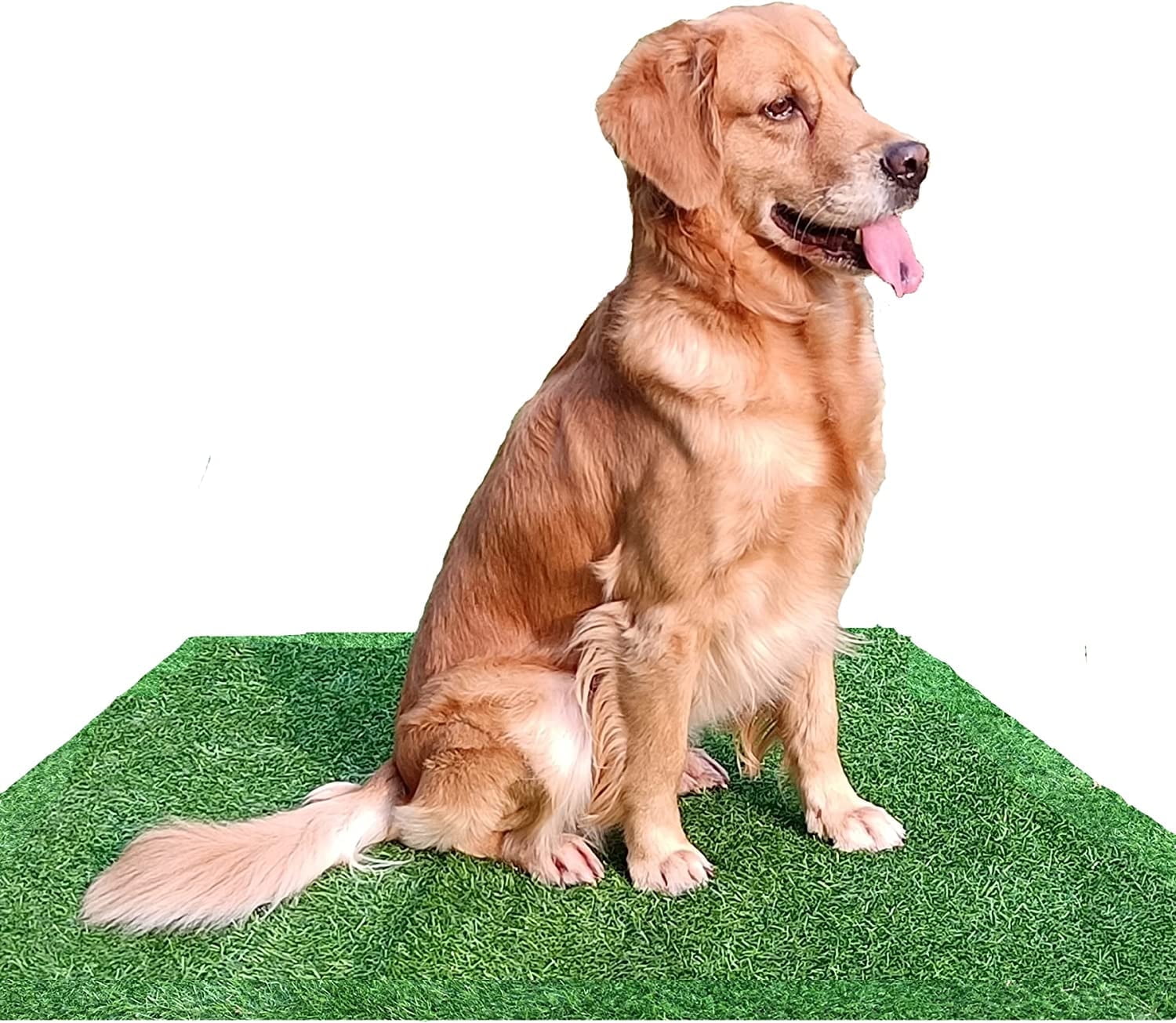 "41"" X 30"" Washable Artificial Grass Mat for Dog Potty Training ...