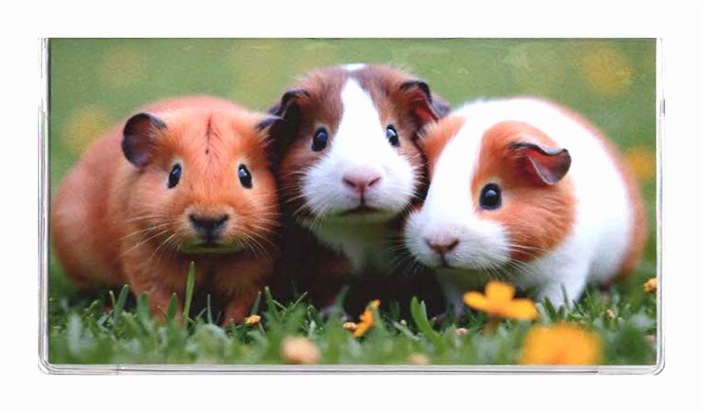 2 Year USA Made Guinea Pigs Pocket Calendar 2026 2027 Planner with Note ...
