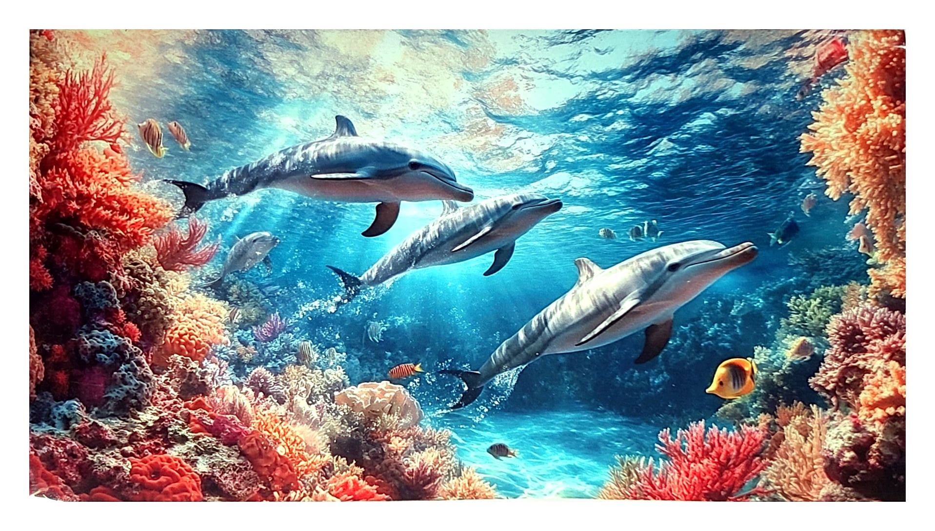 2 Year USA Made Sea Coral Dolphin Pocket Calendar 2026 2027 Planner ...