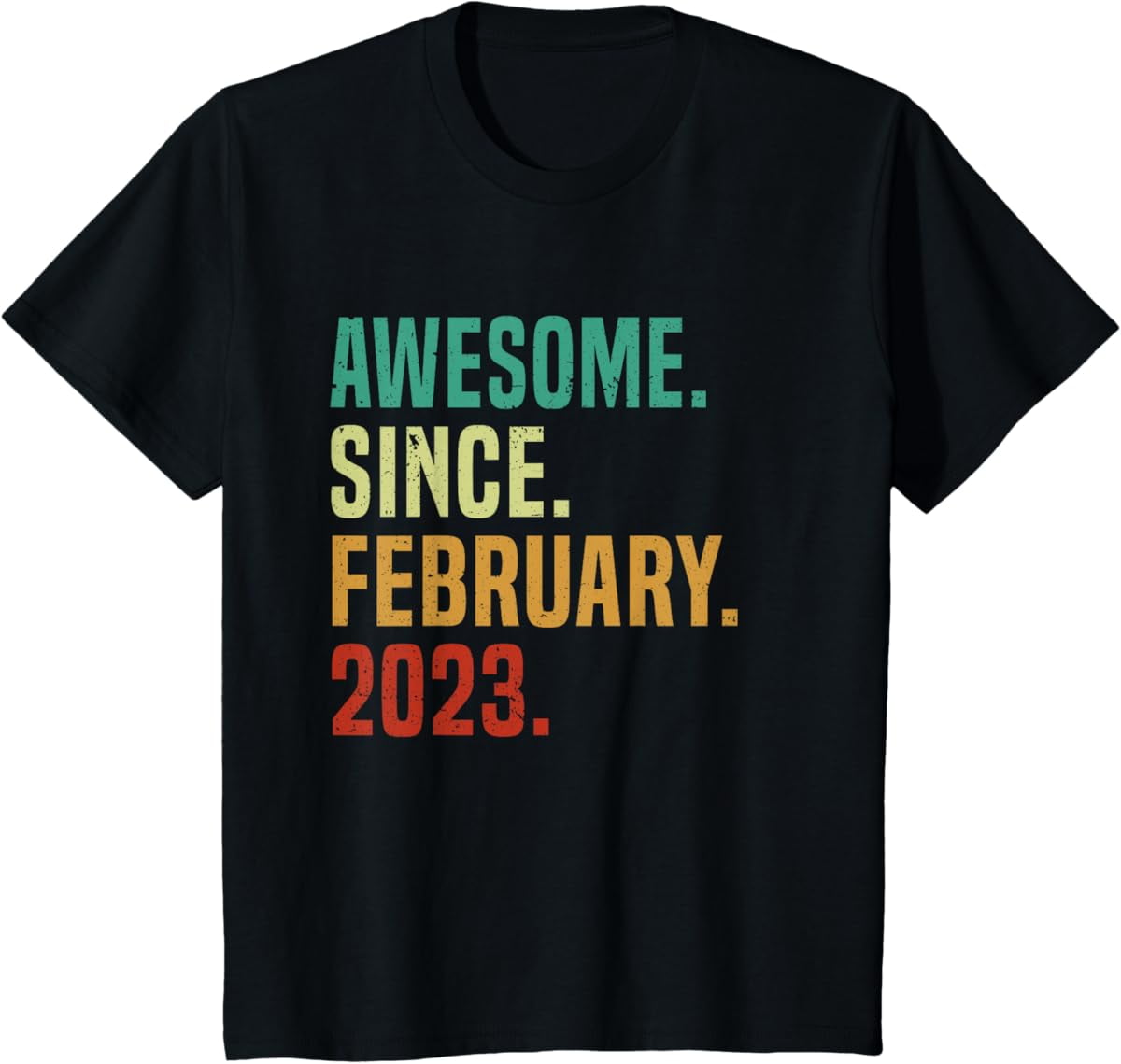2 Years Old Awesome Since February 2023 2Nd Birthday Unisex T-Shirt S ...