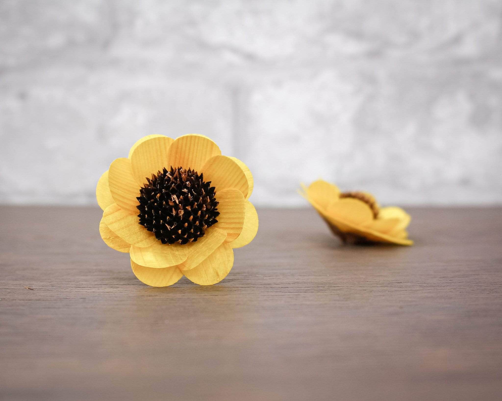 2" Yellow Black Eyed Susan (10 Pack) - Walmart.com