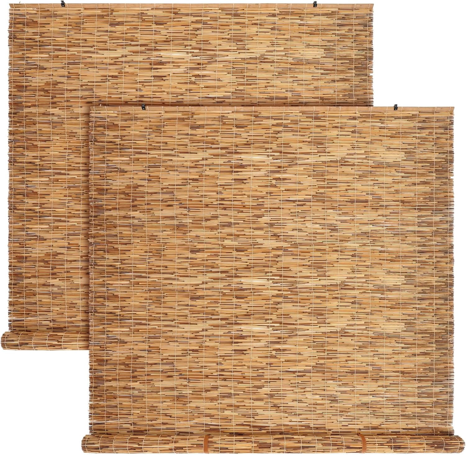 2 count Shades Outdoor Reed Roll up Blinds 60 W x 72 H Blackout ...
