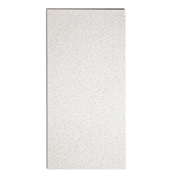 2x4 Ceiling Tiles