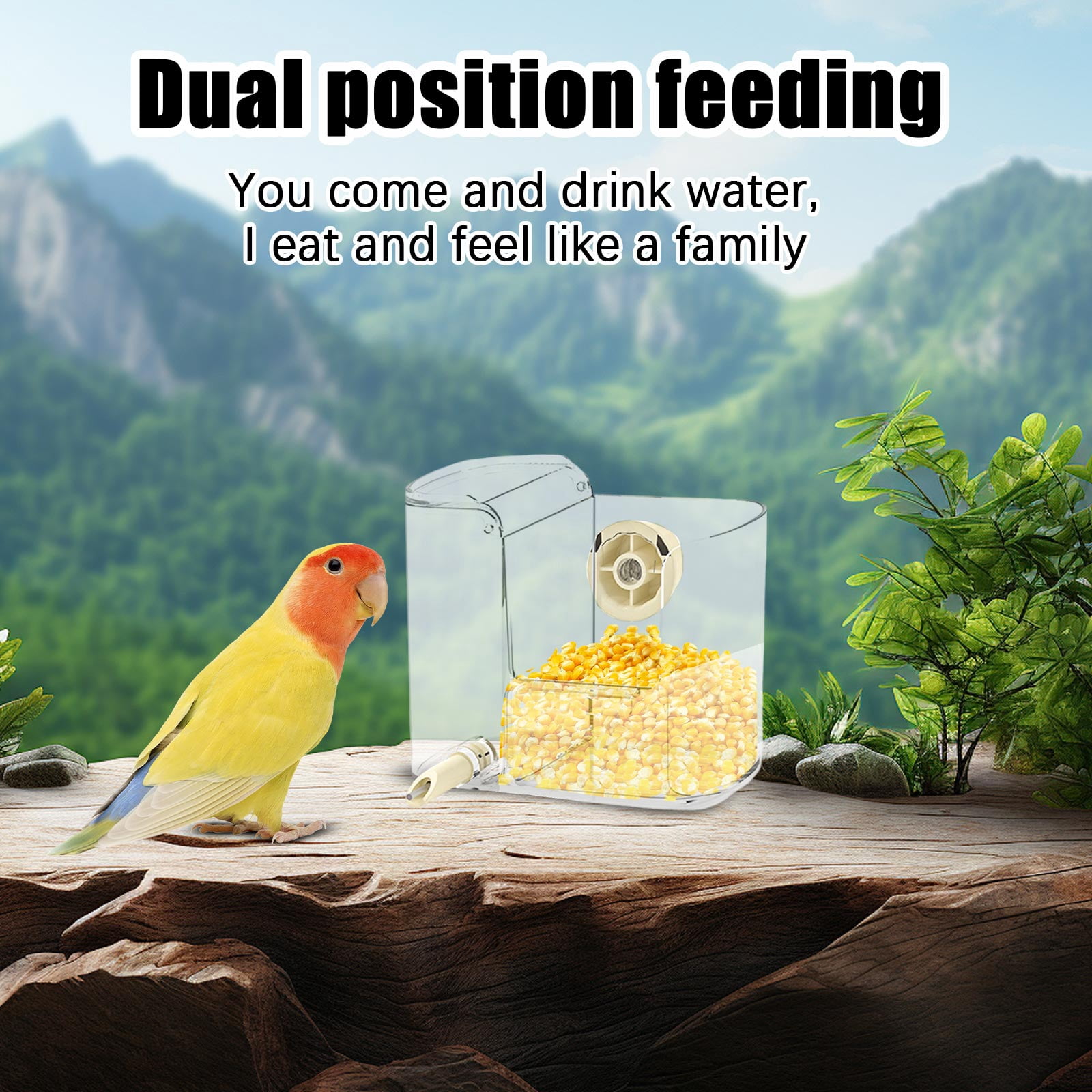 2 in 1 Bird Feeder Water Dispenser - Automatic Acrylic Hanging Pet ...