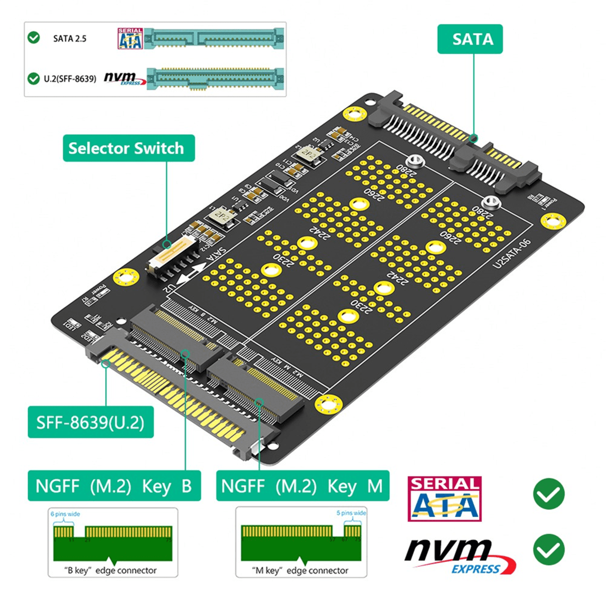 2 in 1 Combo M.2(NGFF) NVME PCI-E SSD to U.2 SFF-8639 & M.2( NGFF) SATA SSD to SATA Ada plastic ...