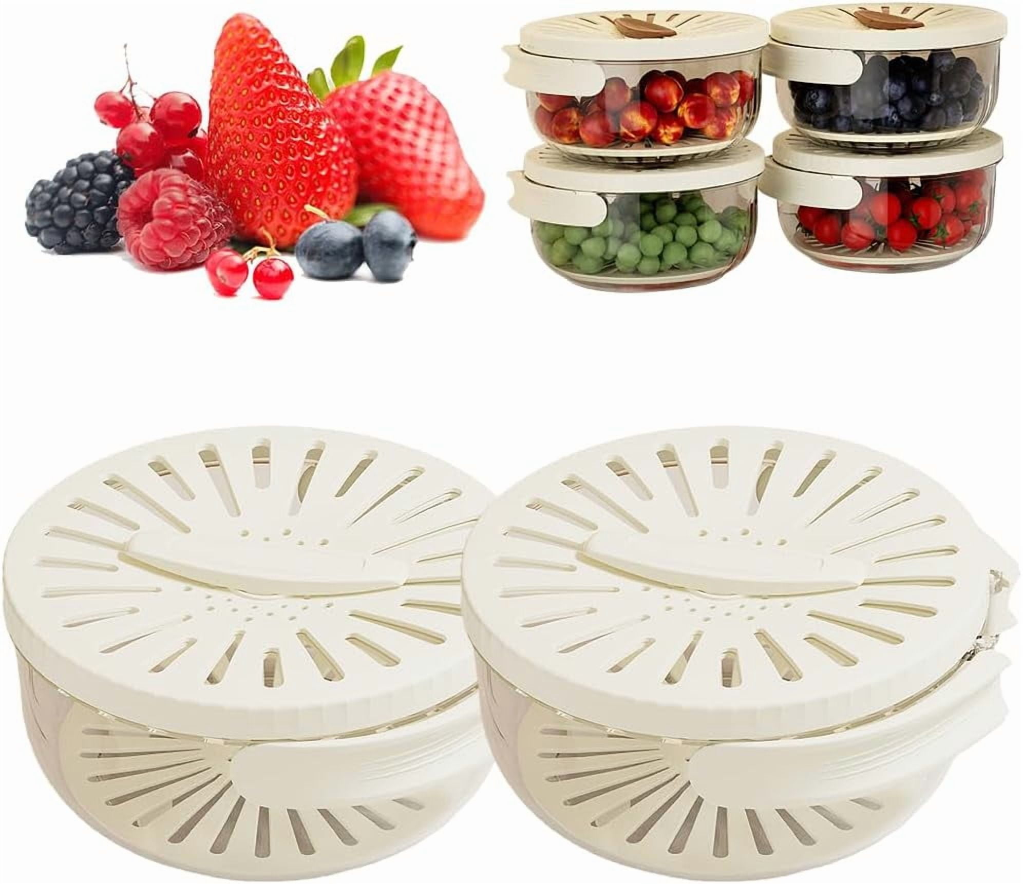 2-in-1 Draining & Preservation Basket – 2026 Upgraded Fruit Vegetable ...