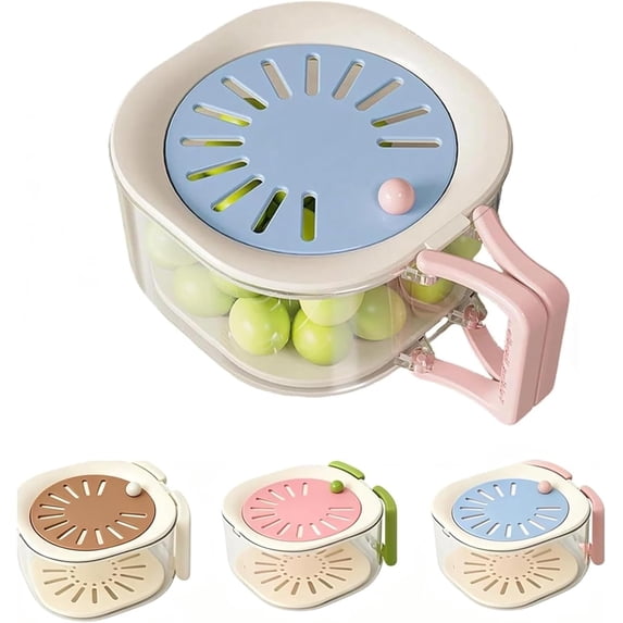 2-in-1 Fruit Strainer Container with Lid, Foldable Handle Drain Basket ...