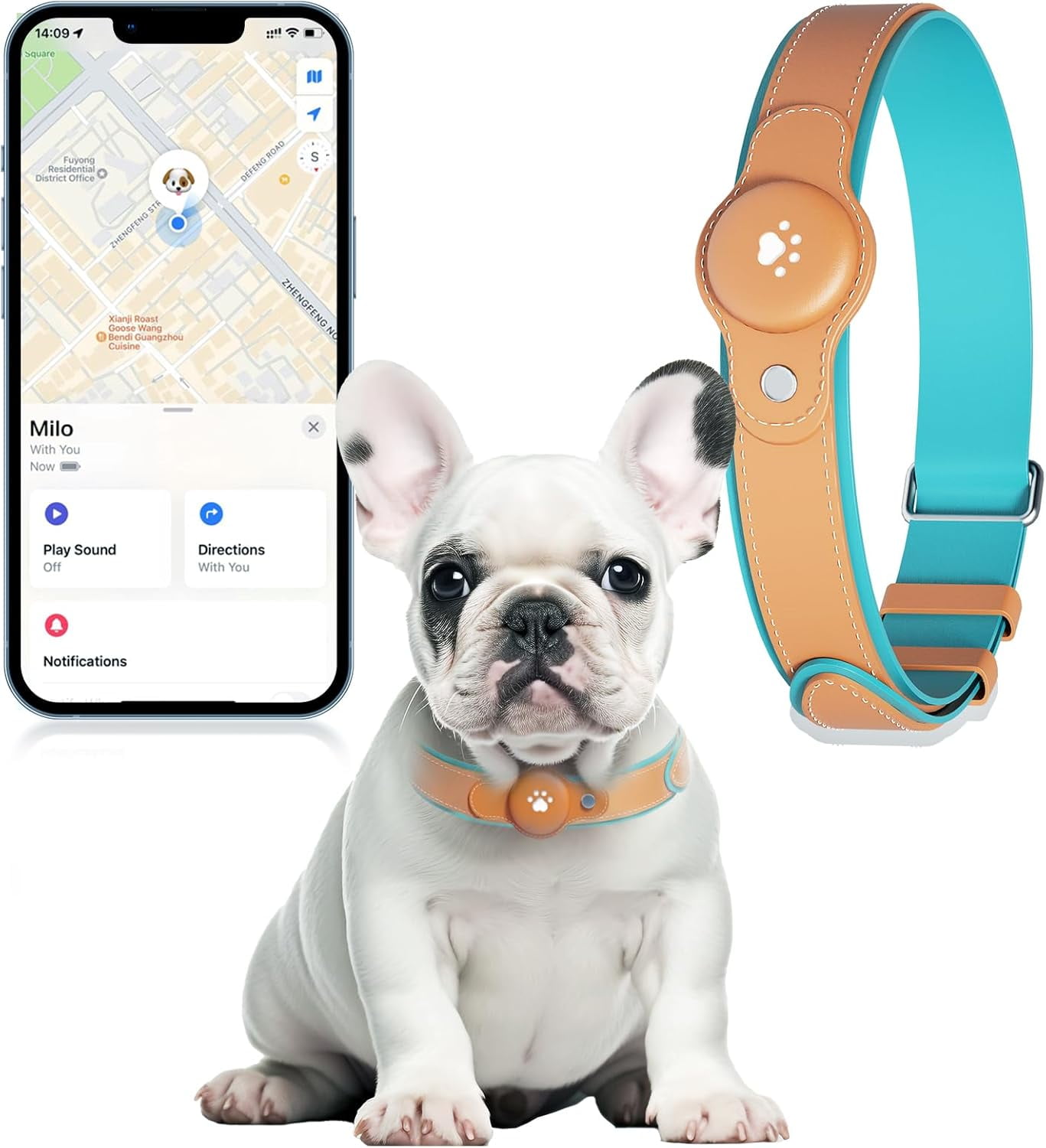2-in-1 GPS Tracker for Dogs: Smart Collar with Real-Time Location, No ...