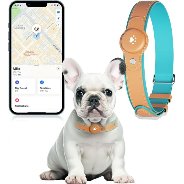 2-in-1 GPS Tracker for Dogs: Smart Collar with Real-Time Location, No ...
