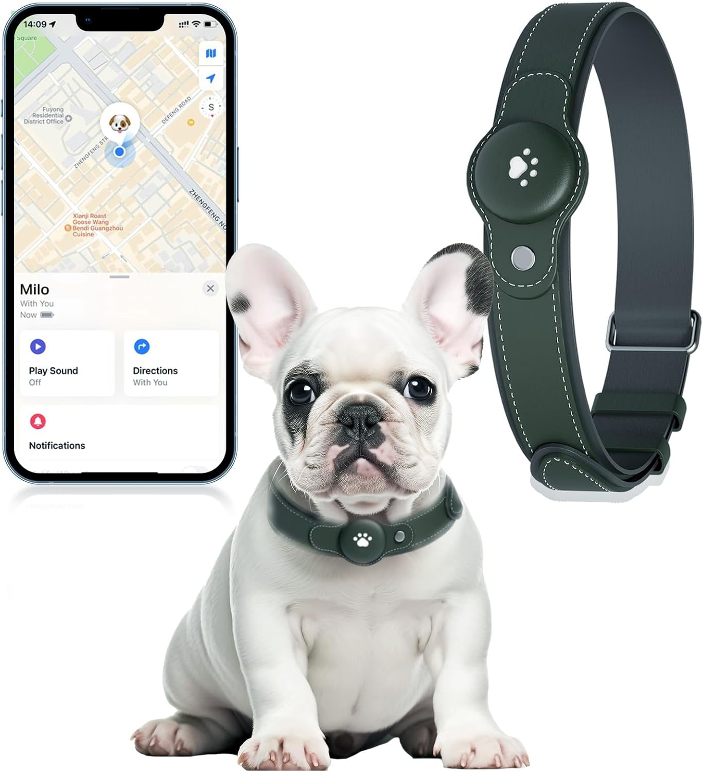 2-in-1 GPS Tracker for Dogs: Smart Collar with Real-Time Location, No ...