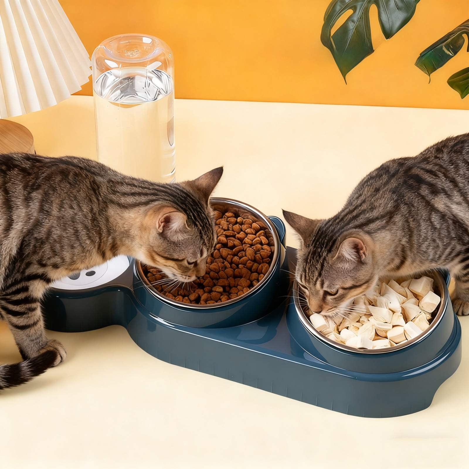 2-in-1 Pet Food and Water Bowl Set with 15° Tilt & Non-Slip Base ...