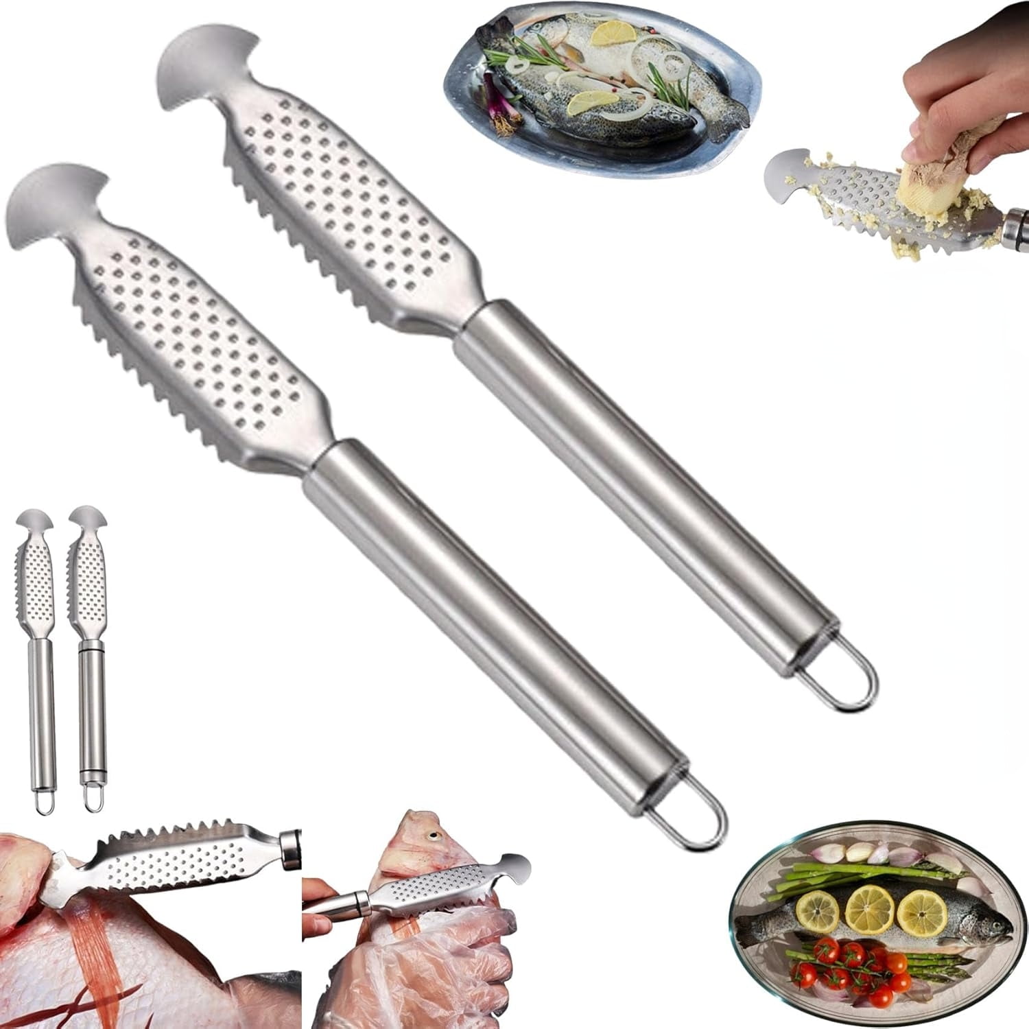 2-in-1 Stainless Steel Fish Scaler + Ginger Grater, Stainless Steel ...