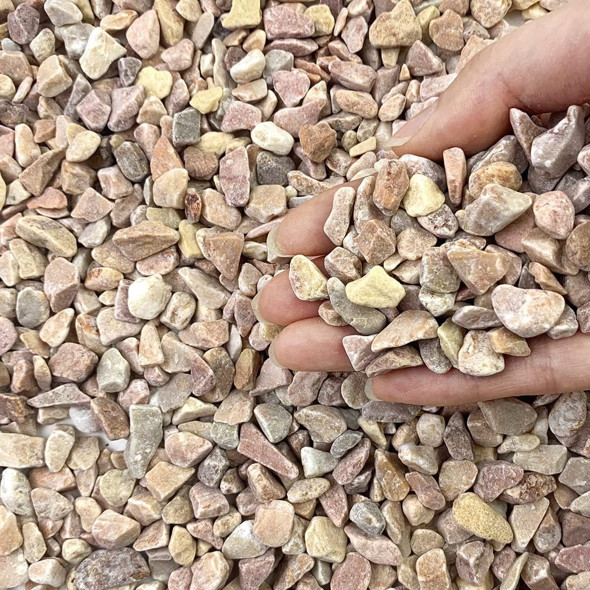 2 lb Natural Pea Gravel Small Pebbles - 3/8 Inch Pebbles for Indoor ...
