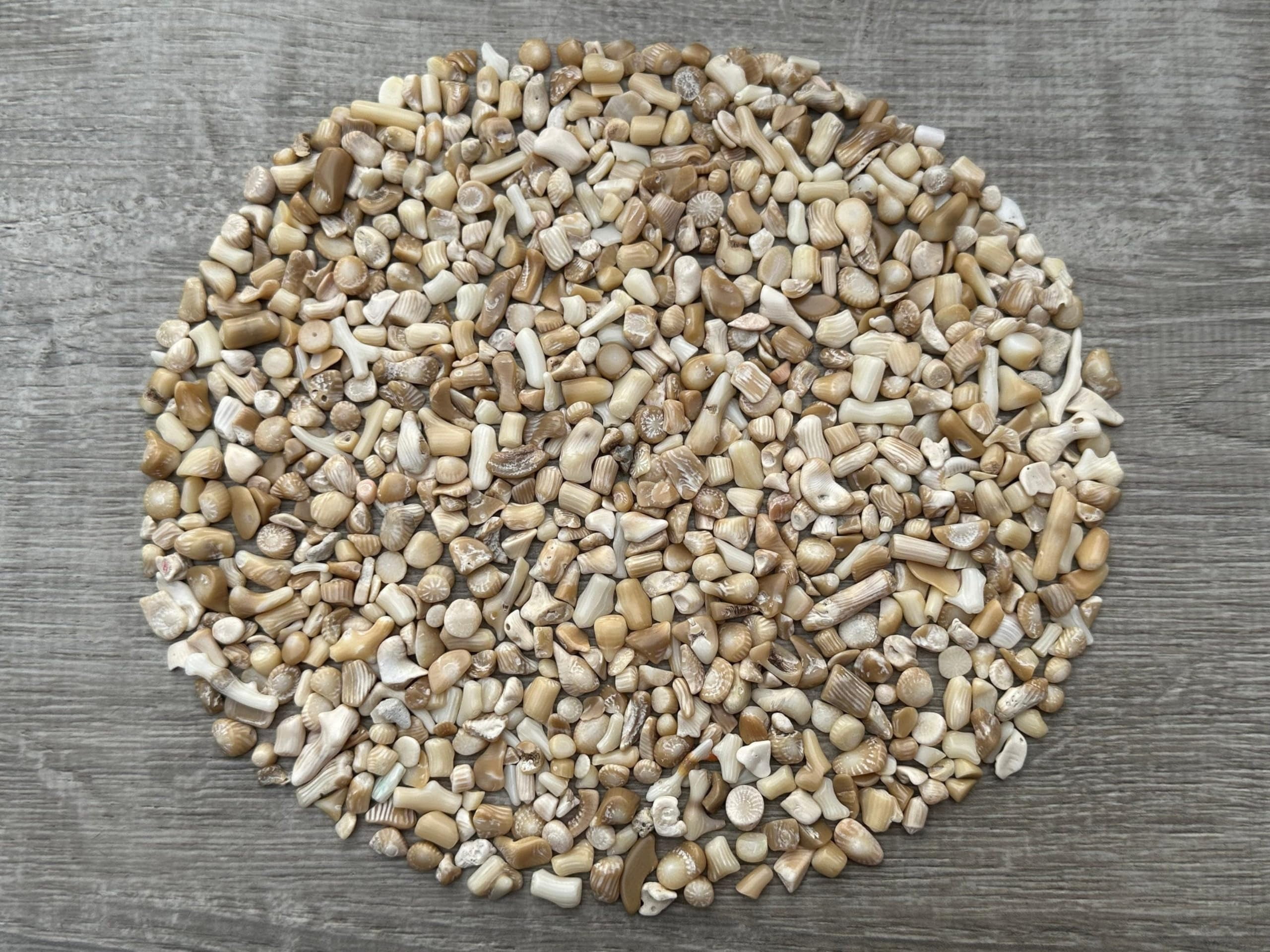 2 oz Lot Natural Semi Tumbled Gemstone Chips, Crushed Mini Crystals ...
