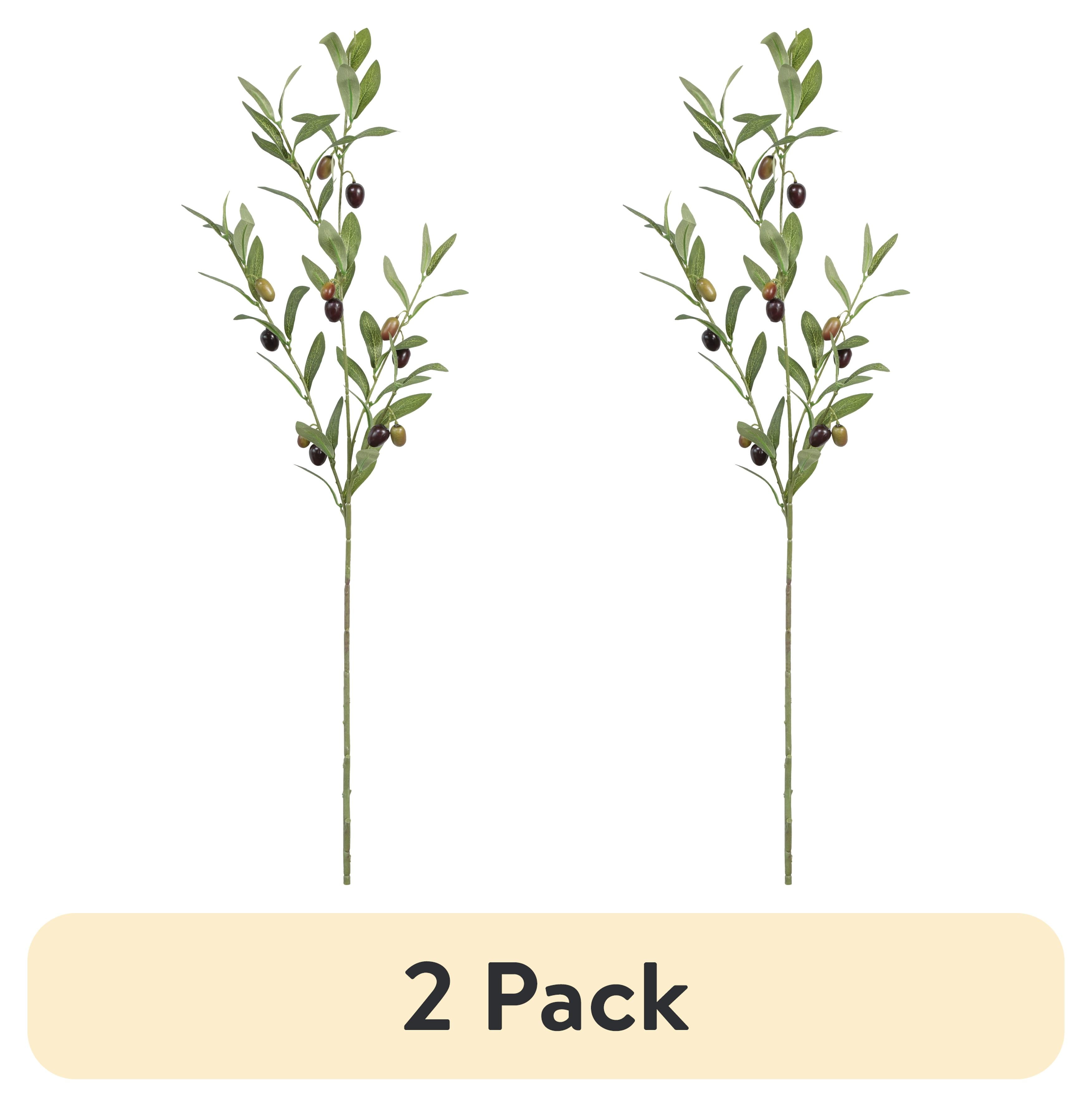 (2 pack) 37-inch Artificial Silk Green Olive Long Stem, for Indoor Use ...
