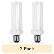 2 Prong Light Bulb