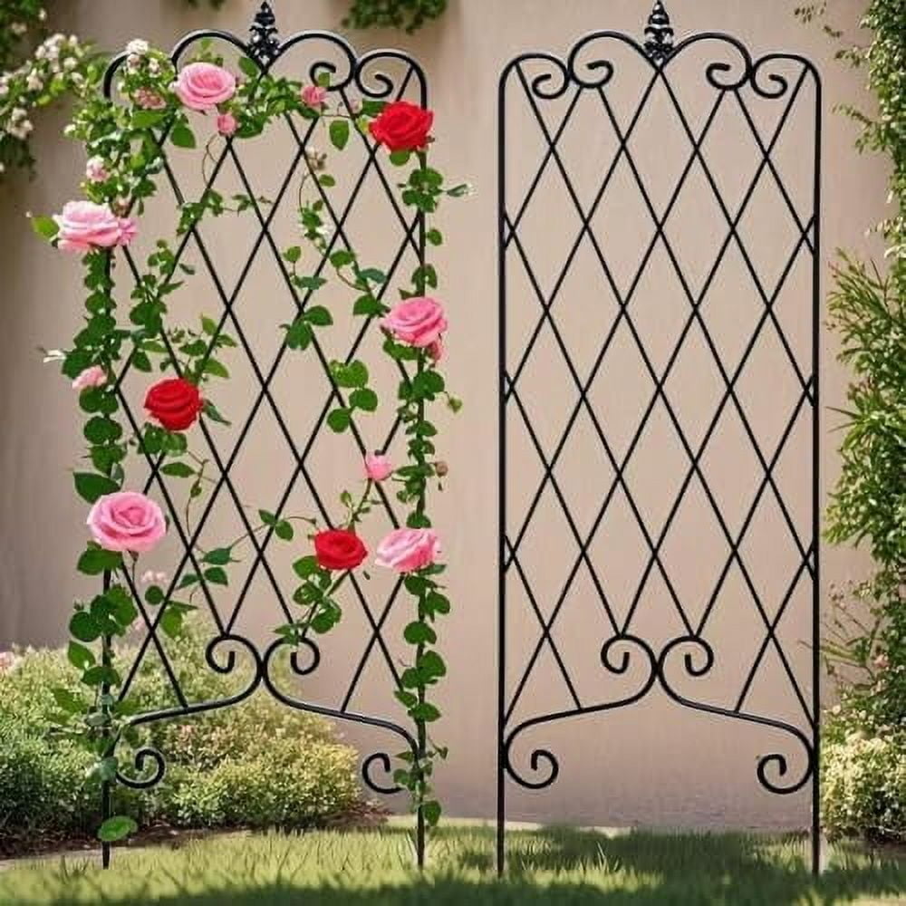 2 pack 60" x 18" garden trellis for climbing plants outdoor metal ...