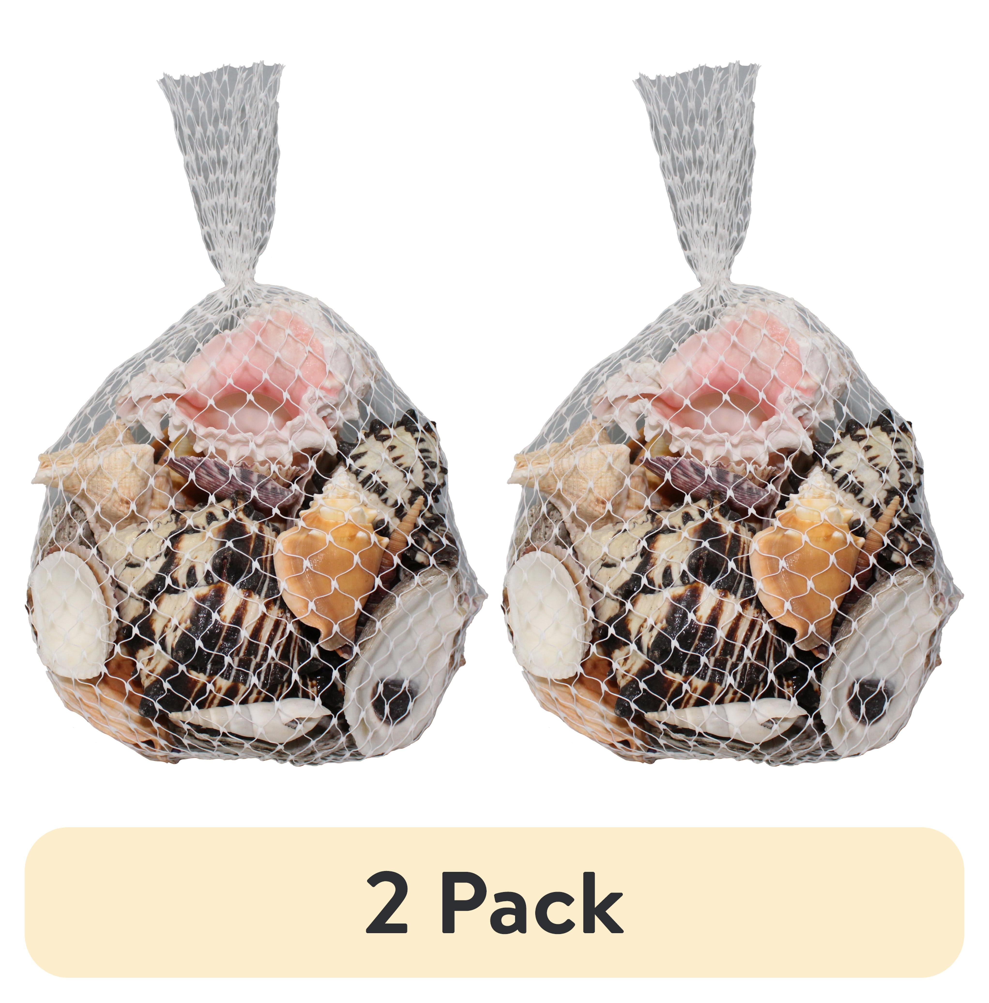 (2 pack) A Mix Of Seashells In Assorted Sizes - Walmart.com