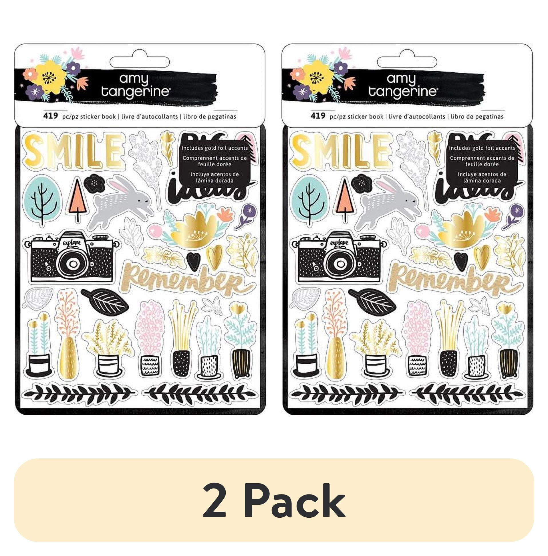 (2 pack) Amy Tan Shine On Sticker Book 419/Pkg-Icon, Phrase & Letters W ...