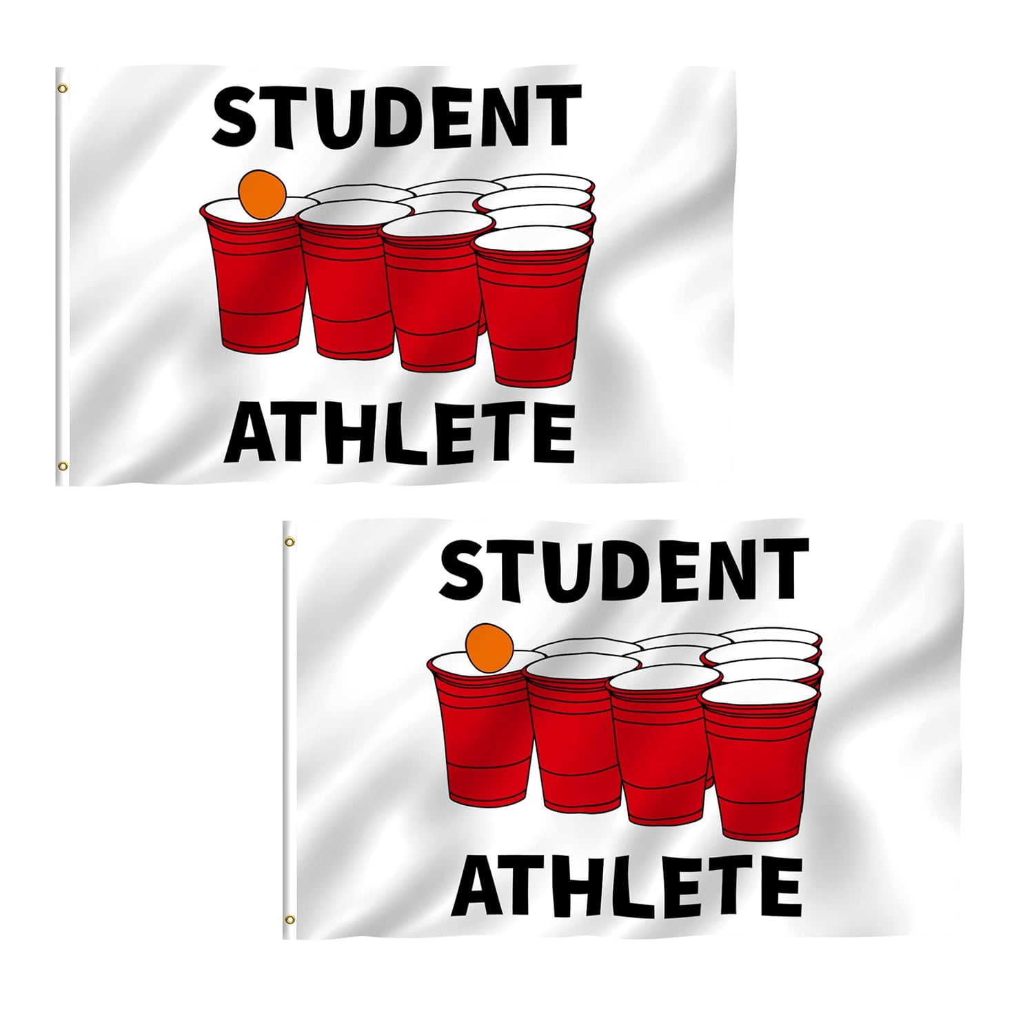 (2 pack) Anley 3 ft x 5 ft Student Athlete Flag - Novelty College Funny ...