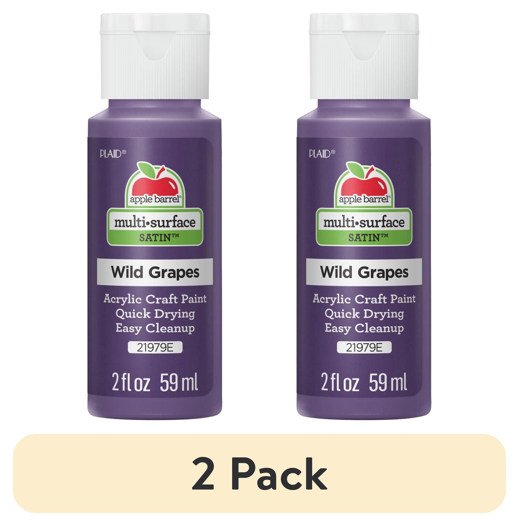 (2 pack) Apple Barrel 21979E Multi-surface Acrylic Craft Paint, Satin ...